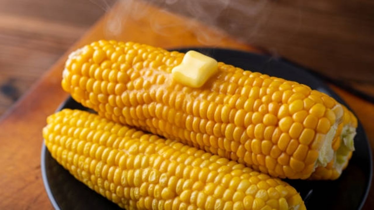 ¡Descubre cuánto duran los elotes en cocerse y disfruta de los más ...