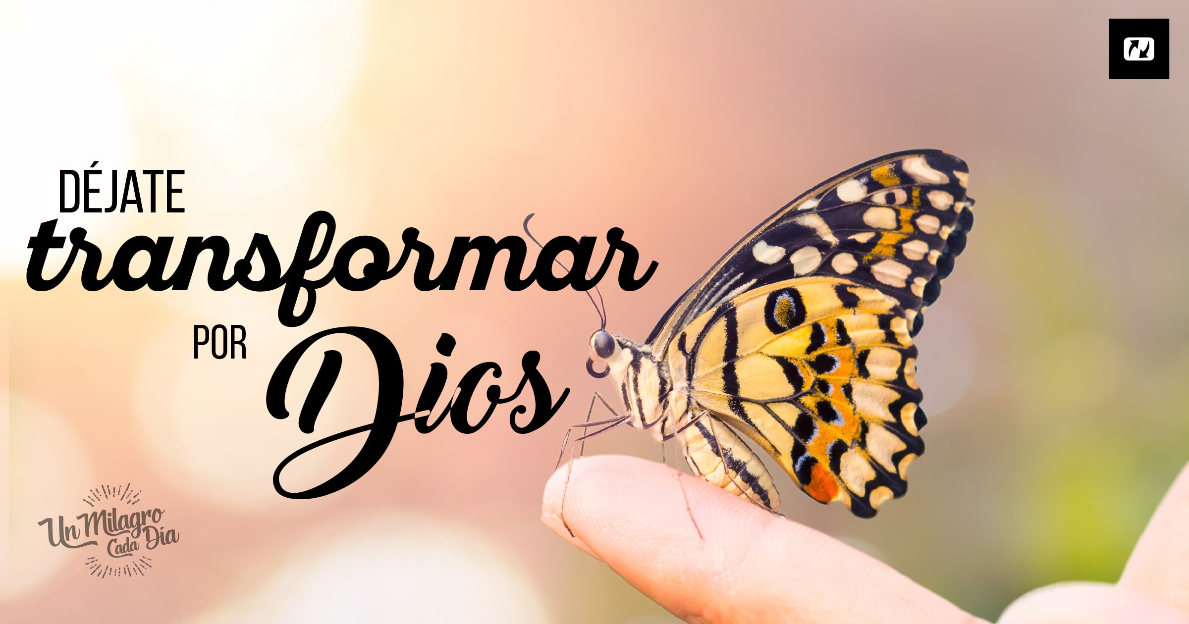 Descubre las 5 poderosas acciones del Espíritu Santo en la iglesia para ...