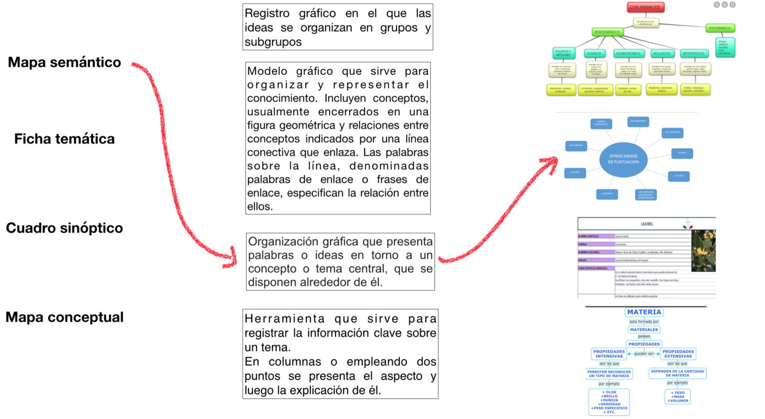 Descubre las 5 partes esenciales de una ficha temática y mejora tu ...