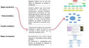 Descubre las 5 partes esenciales de una ficha temática y mejora tu ...
