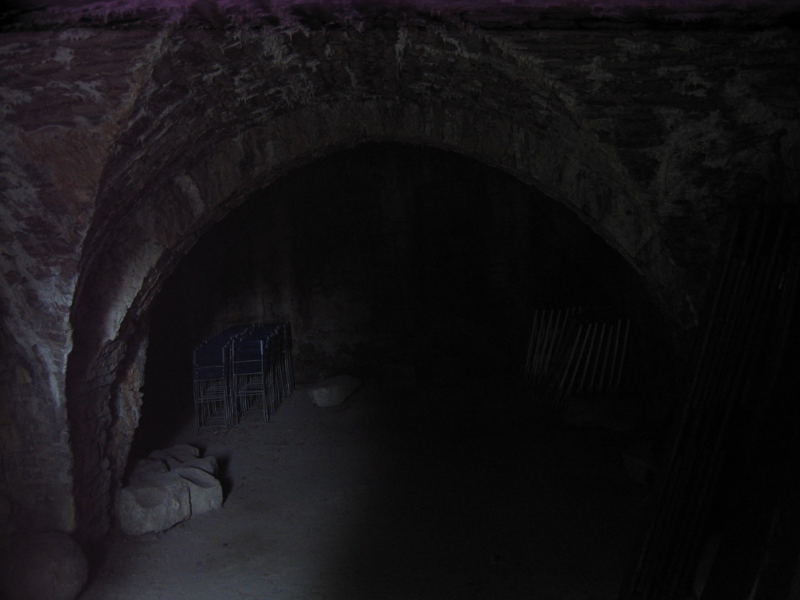 Descubre cómo sería la vida sin luz: las increíbles consecuencias de la ...